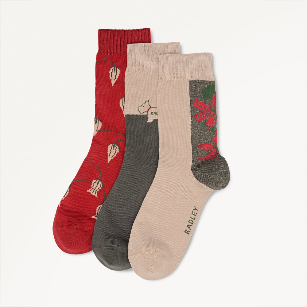 Pine Needle Sock Set | Winter Floral AW25 | Radley London