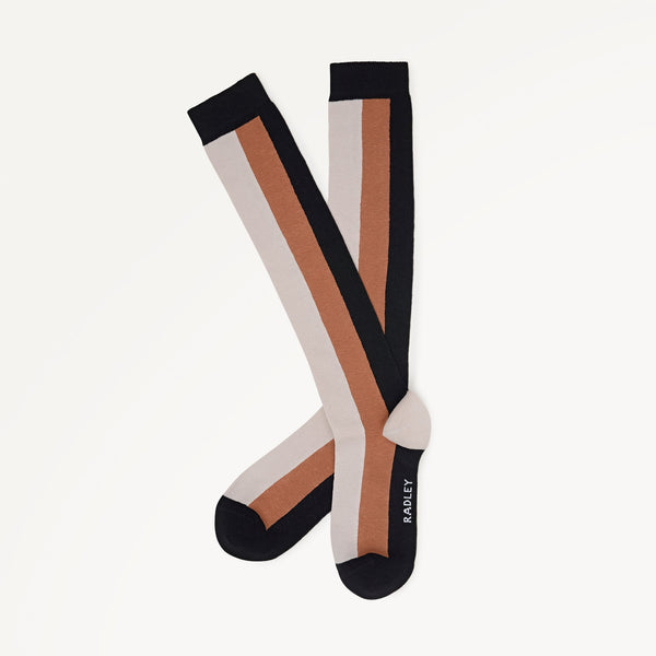 Women's Socks | Designer Socks Set | Radley London