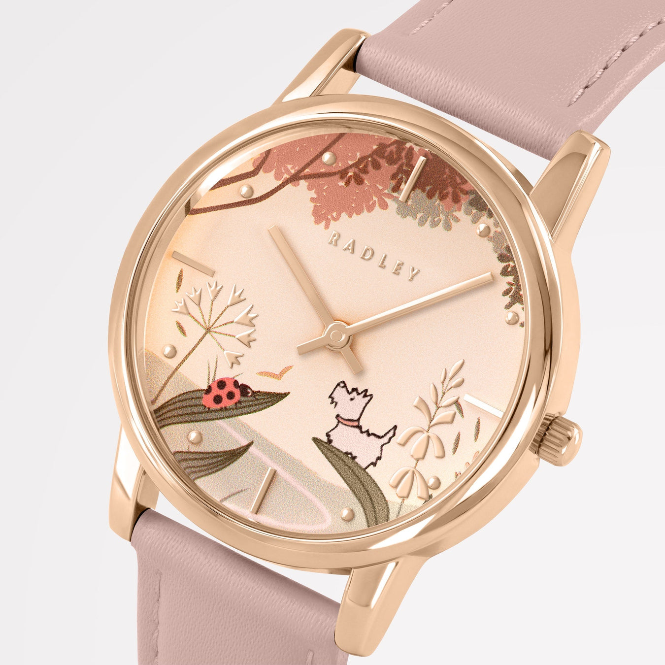 Ladies Designer Watches | Watches for Women| Radley London